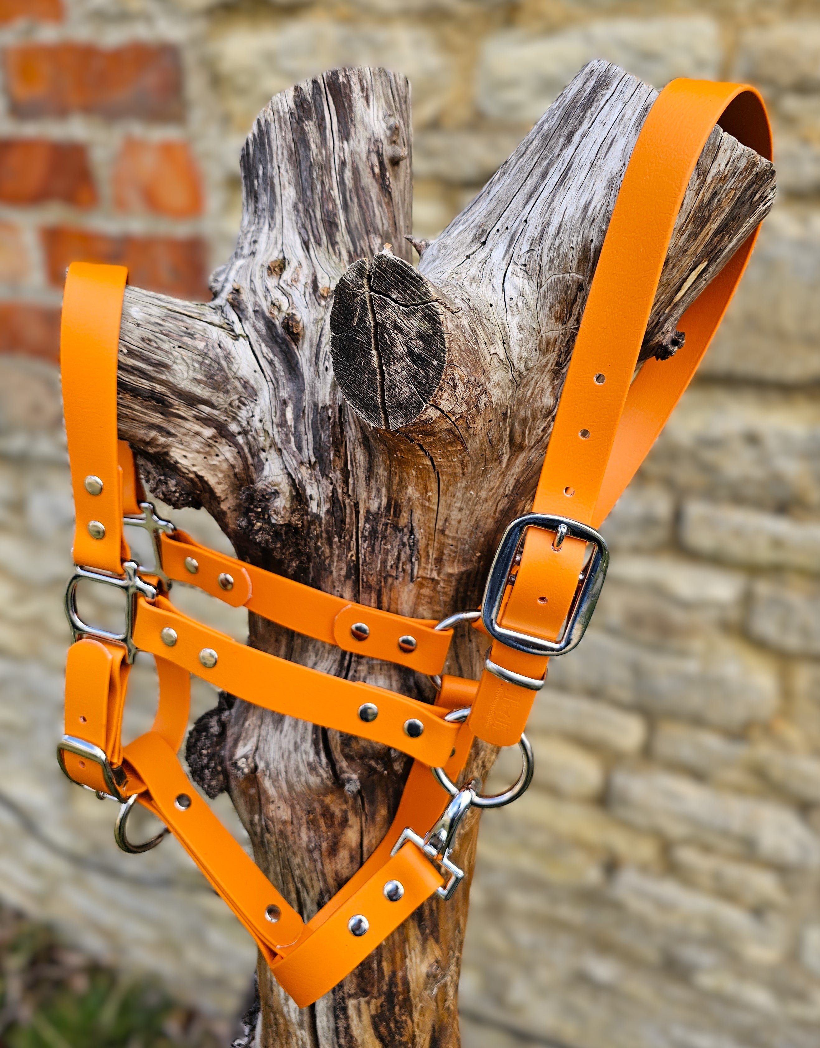 Burnt Orange - Classic BioThane® waterproof Horse Halter – Trinkety Equine