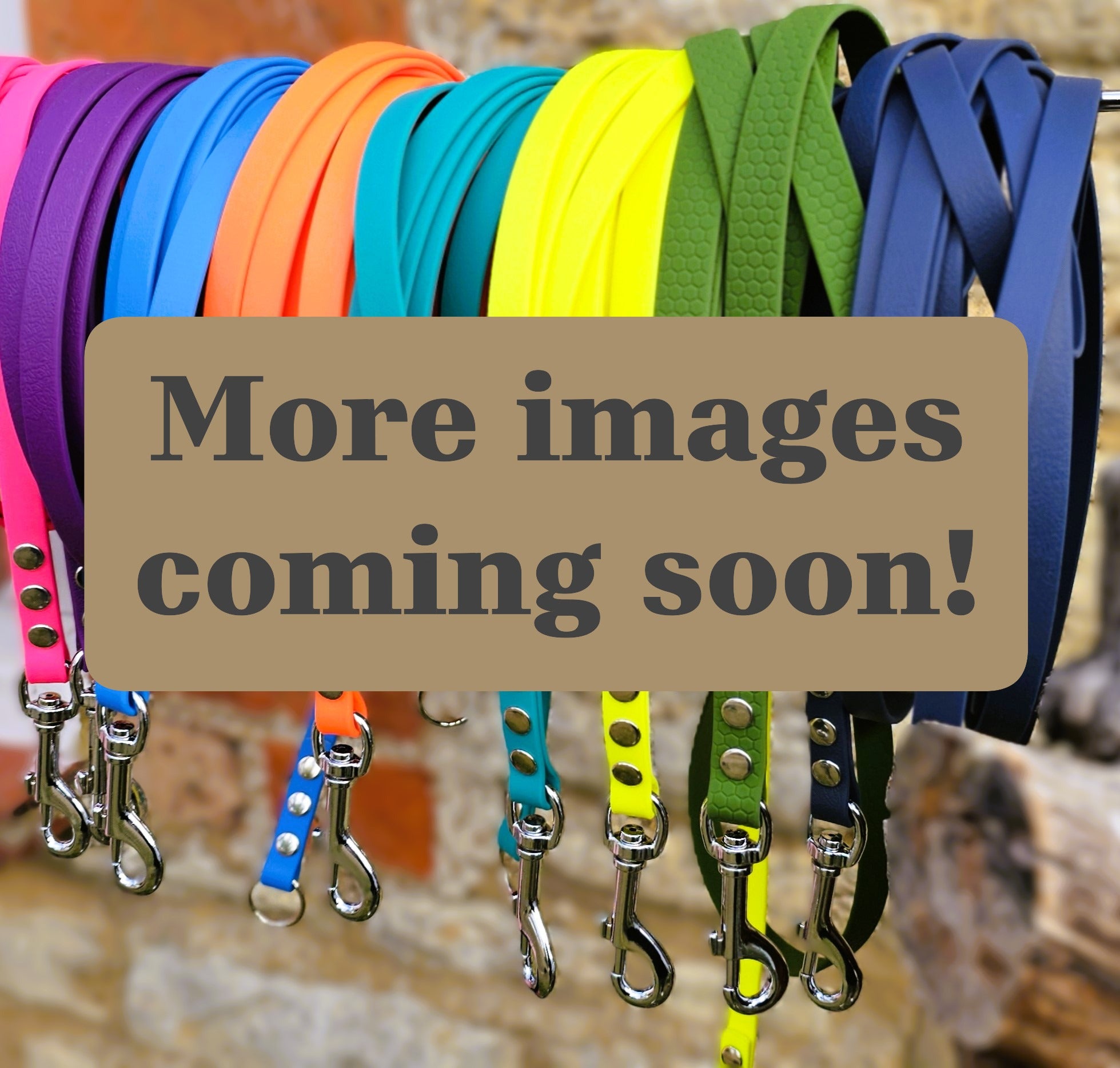 Neon Pink - Premium Waterproof BioThane® Horse Lunge Lines – Trinkety ...